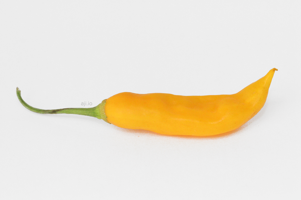 Aji Golden Pepper – a j í スパイシー